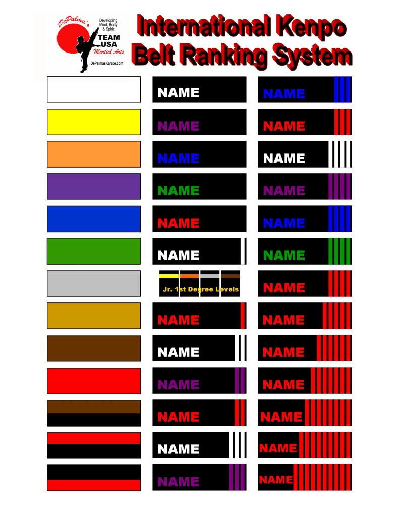 Belt Progress DePalma s Team USA Martial Arts 480 892 3949
